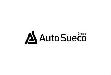 Novo administrador executivo no Grupo Auto Sueco no Brasil – Human ...