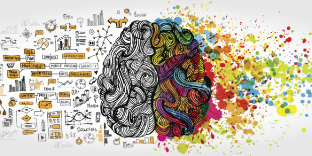 A inteligência instintiva e a sua exploração – Human Resources