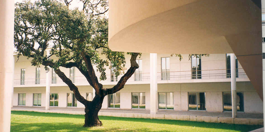 Instituto Politécnico de Setúbal apoia regresso às aulas em Angola ...