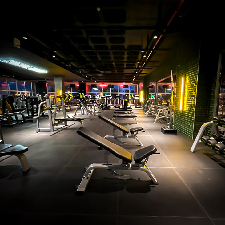 «Continuamos a procurar pessoas de excelente carácter para se juntarem ...