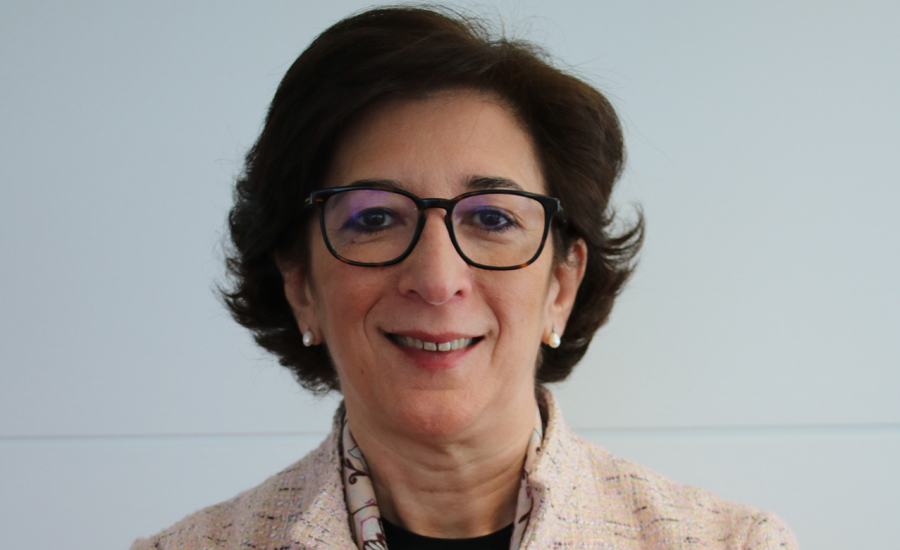 Maria Helena Henriques distinguida com prémio Desenvolvimento de ...