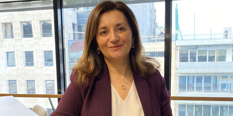 Elsa Carvalho é a nova head of Business Development em Portugal da WTW ...