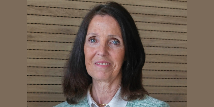 Isabel Viegas, dNovo: «Enquadrar um profissional sénior numa ...